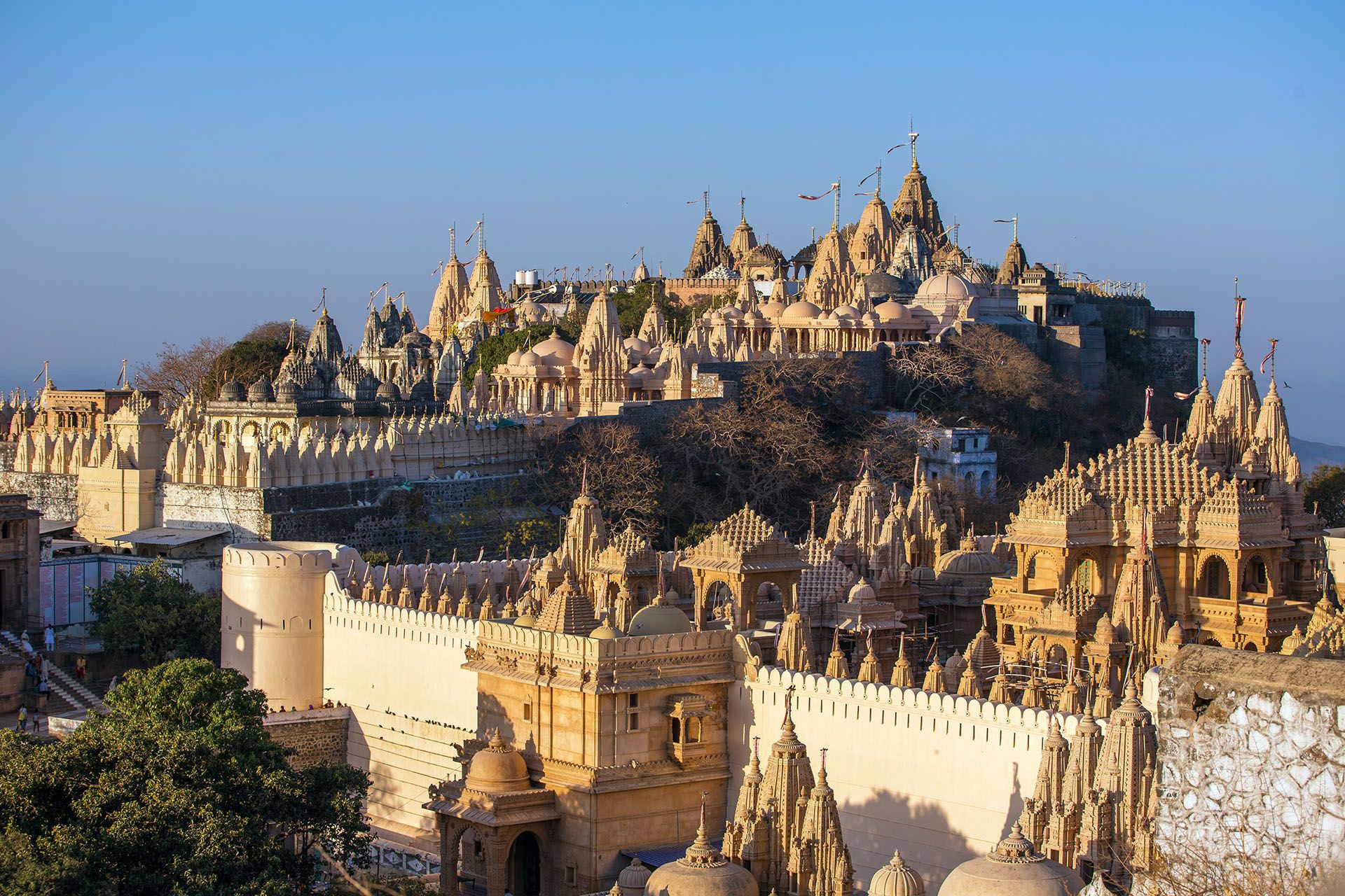 Gujarat India Travel Guide Rough Guides