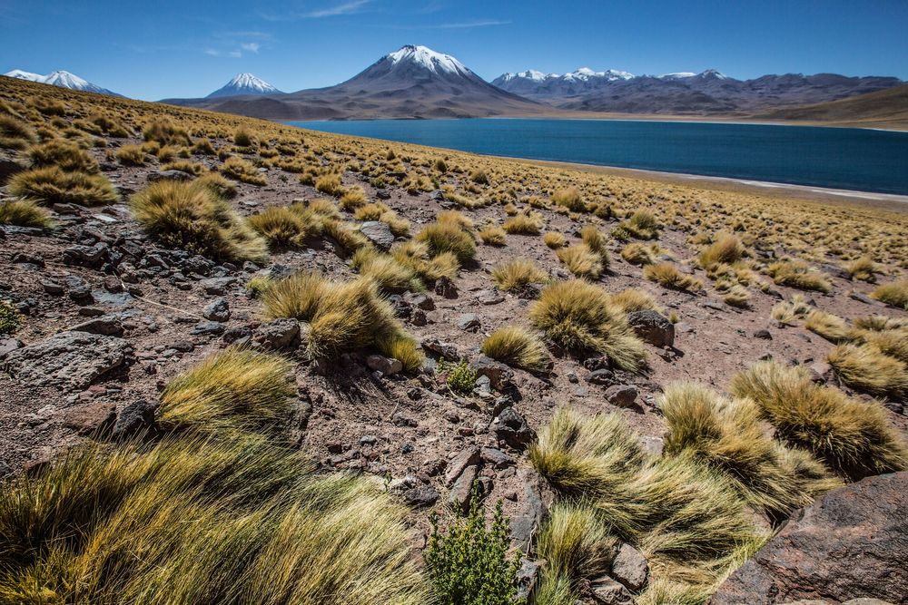 10 days in Chile: Day by day Itinerary | Rough Guides
