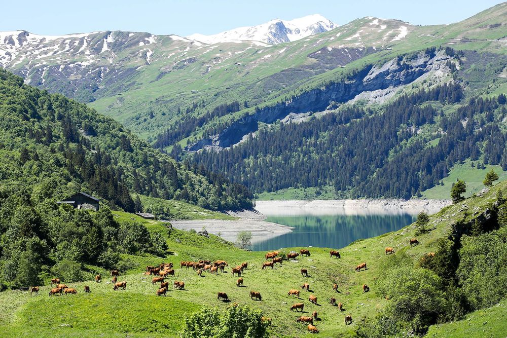 15 best campsites in France | Rough Guides