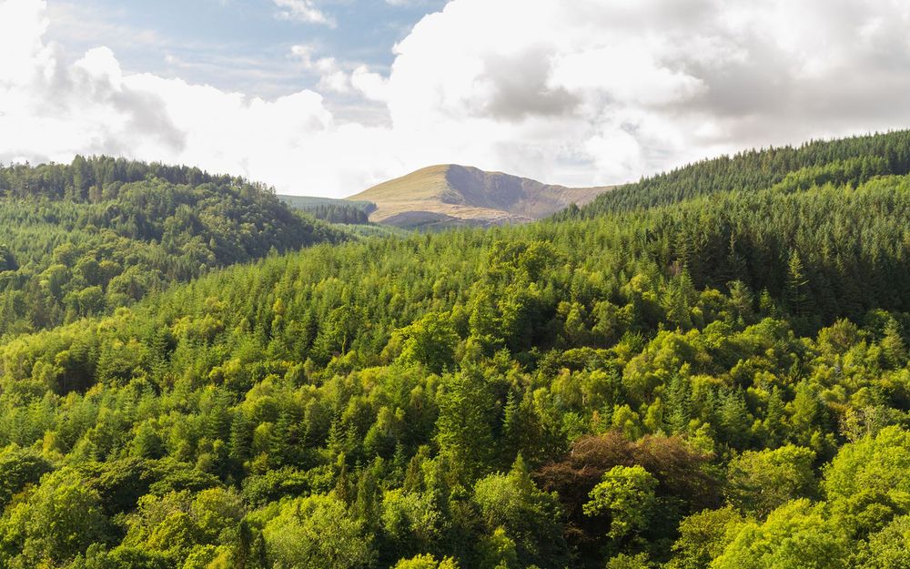 Snowdonia National Park travel guide: what to see and do | Rough Guides