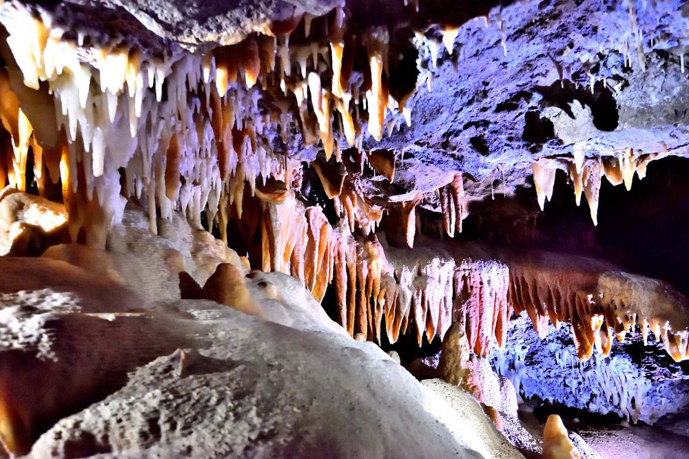 Explore Australia's East Coast: From Melbourne to Sydney | Rough Guides