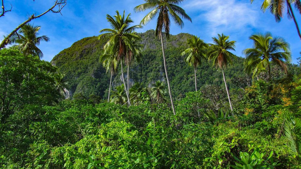 Maluku | Indonesia Travel Guide | Rough Guides