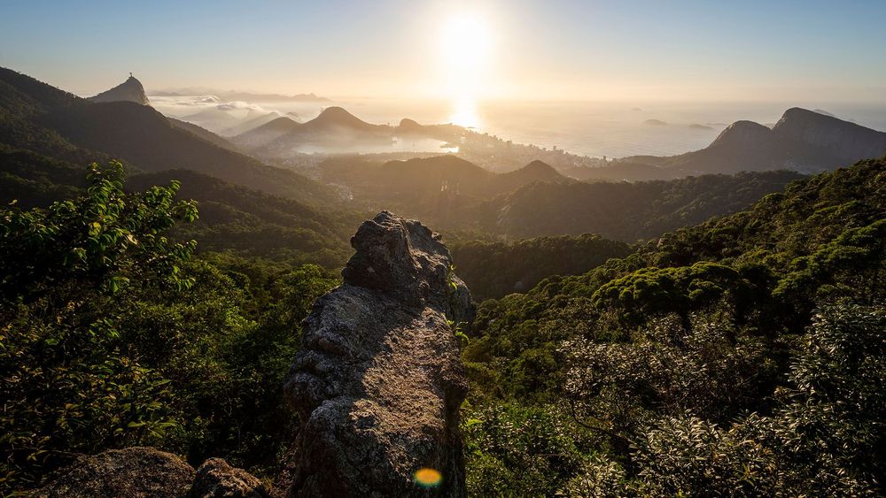 Forests Of The World | Forest Pictures | Rough Guides