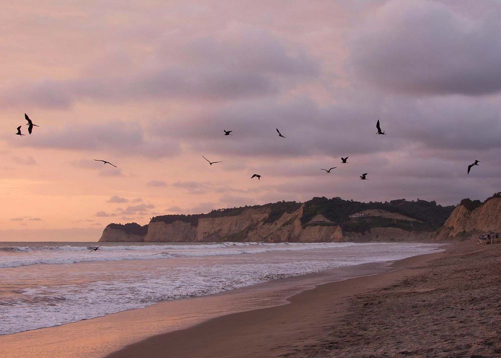 The best beaches in Ecuador | Rough Guides