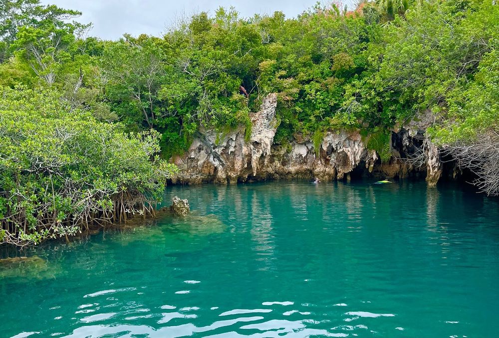 14 Best Things To Do In Bermuda | Rough Guides