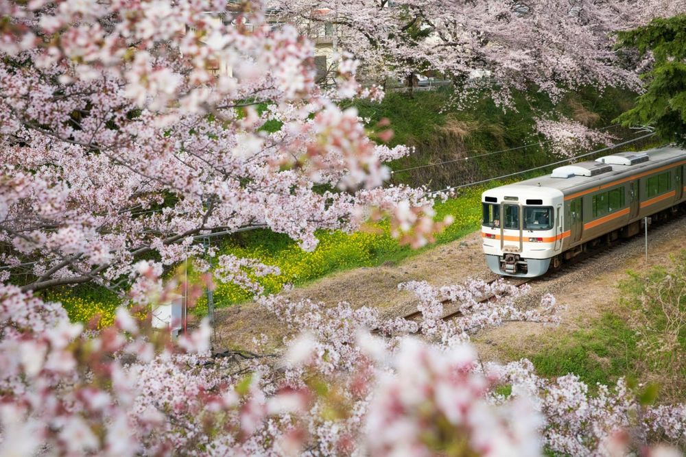 The Most Incredible Sightseeing Trains In Japan | Rough Guides