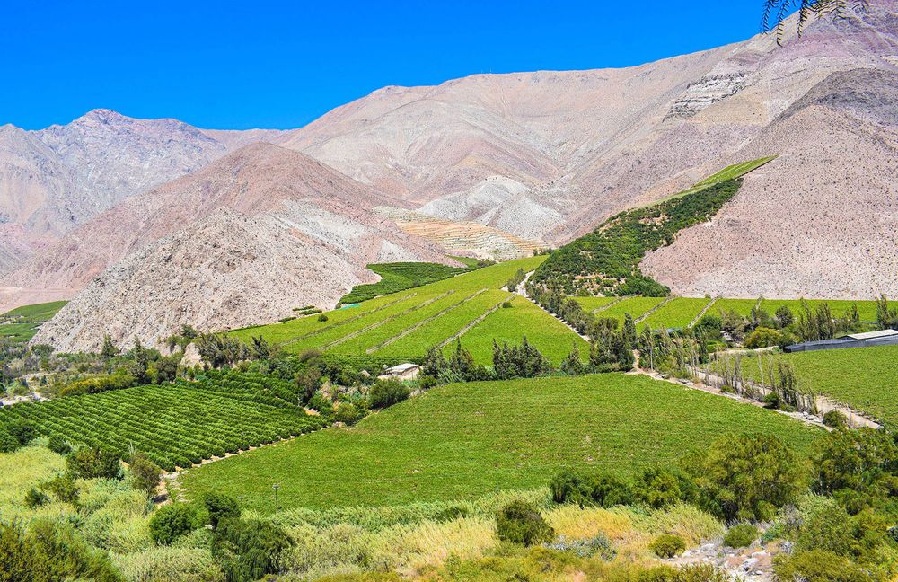 Best wine regions to visit in Chile | Our top picks | Rough Guides