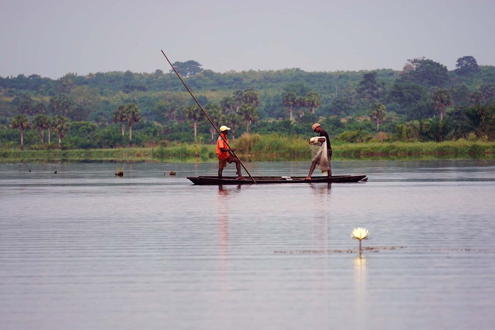 Togo Travel Guide | Plan Your Trip | Rough Guides