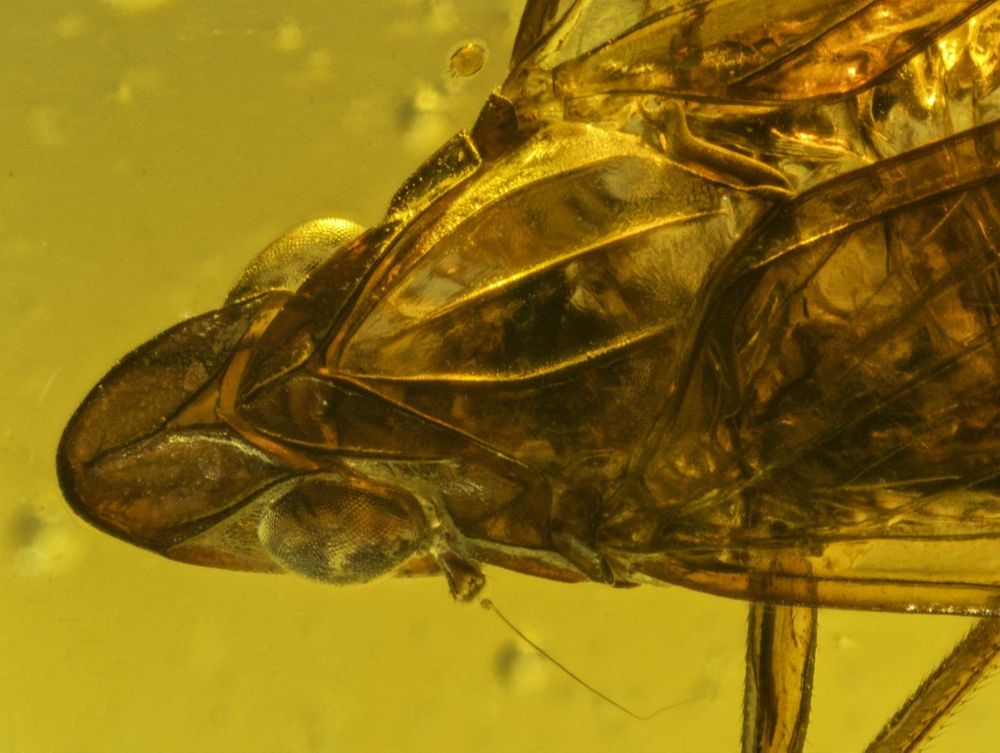 18 Best Things To Do In The Dominican Republic | Rough Guides