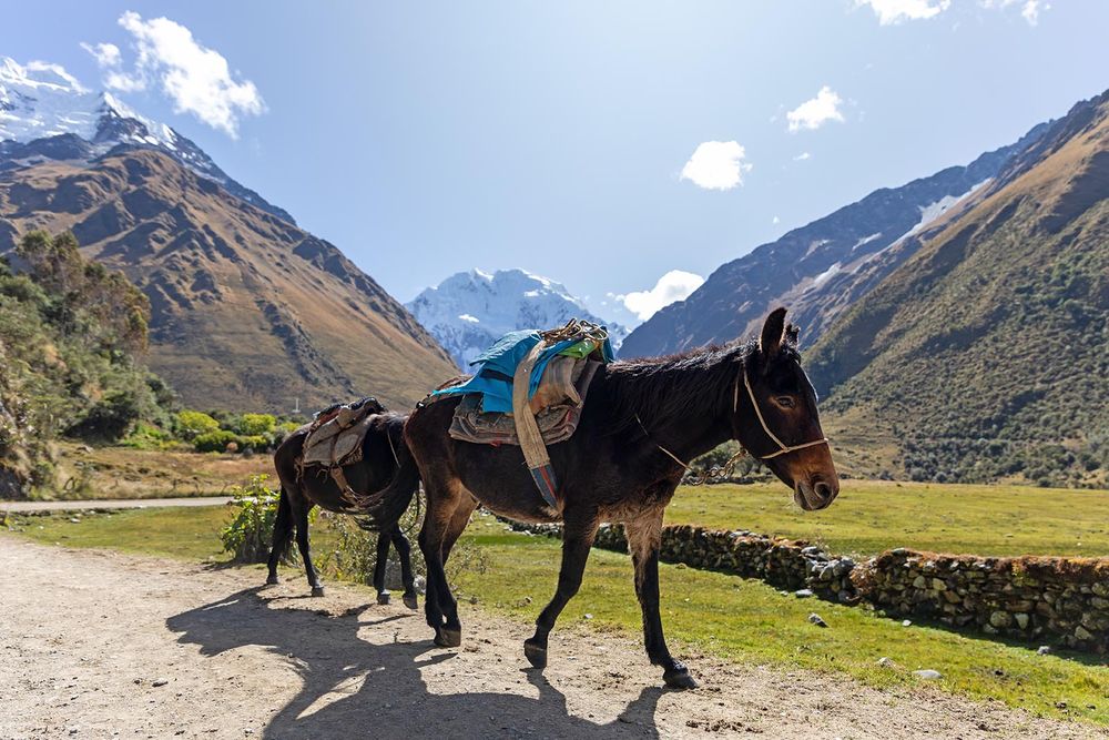 How to plan a trip to Peru: a complete guide | Rough Guides