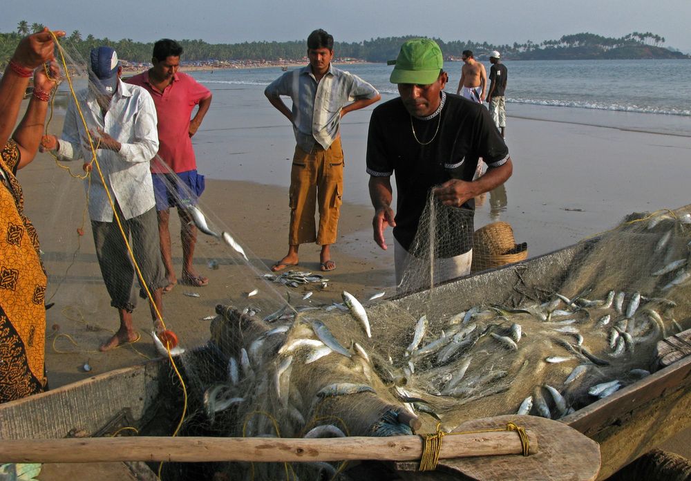 Goa In December: Weather & Travel Tips | Rough Guides