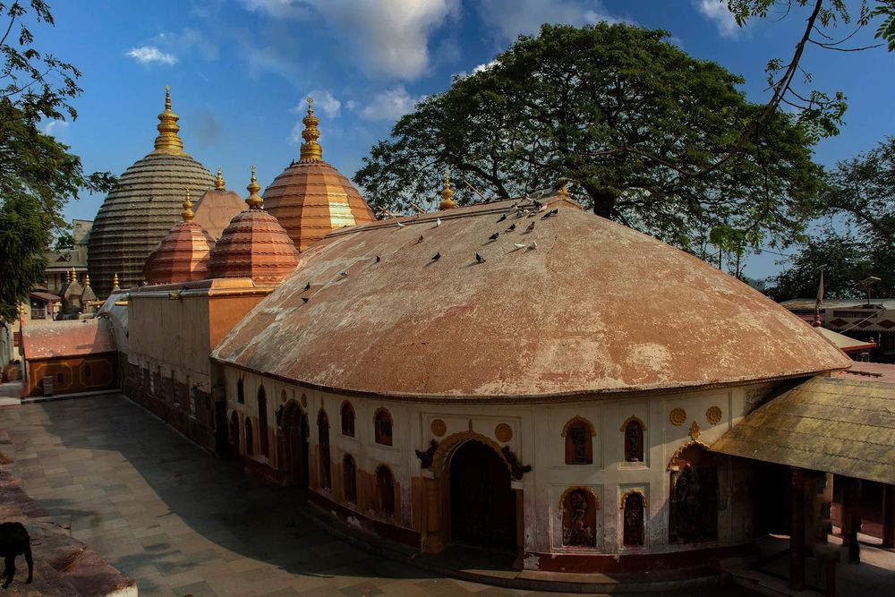 Assam | India Travel Guide | Rough Guides