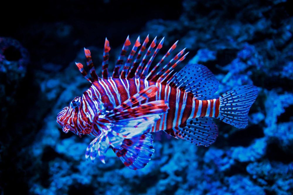 Copenhagen for kids: a Scandi family escape | Rough Guides