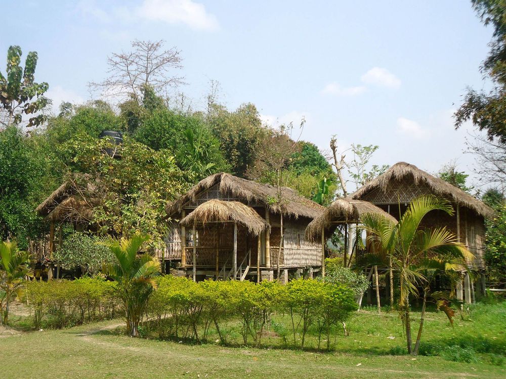 Assam | India Travel Guide | Rough Guides