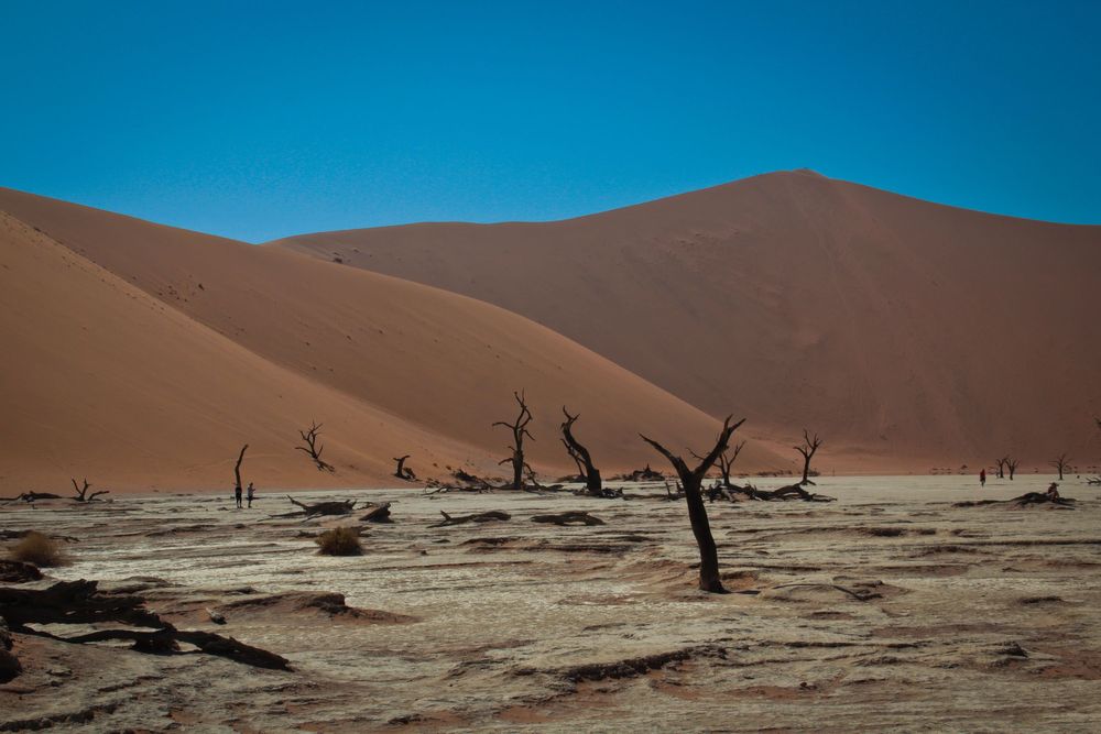 27 awe-inspiring pictures of Namibia | Rough Guides