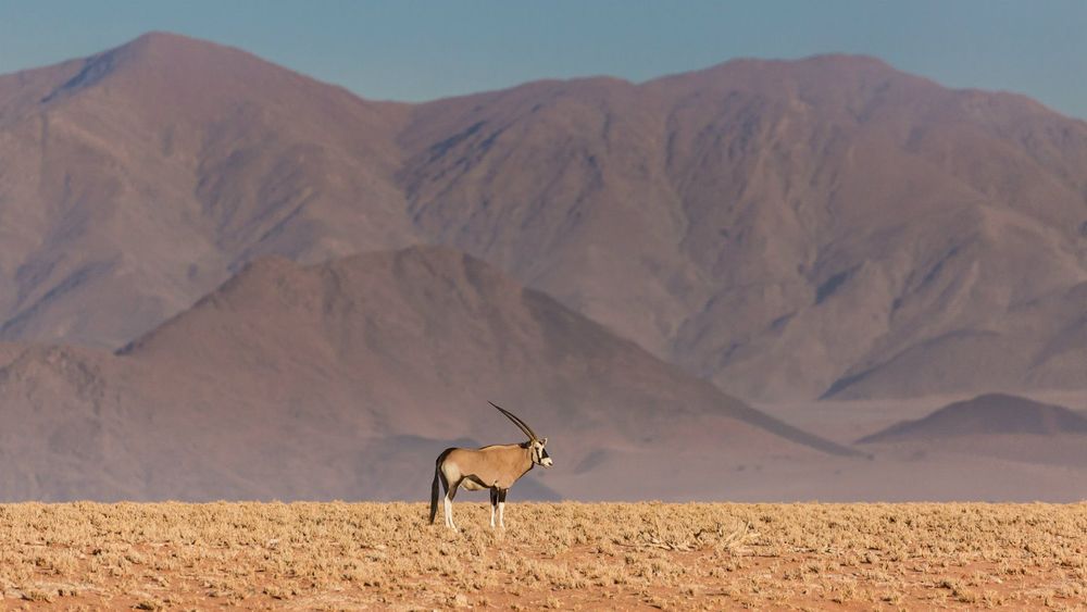 Weather in Namibia in November | Rough Guides