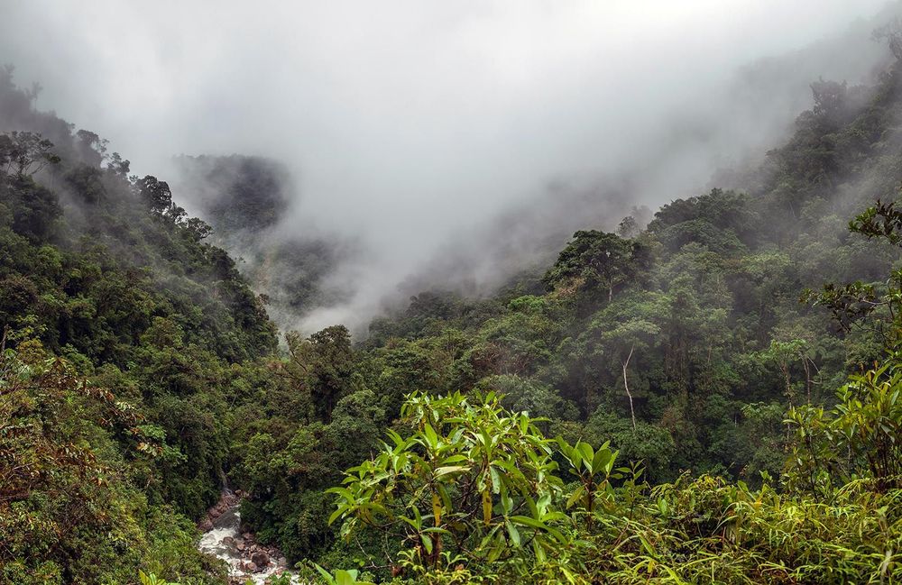 Best National Parks to Visit in Peru | Our Top Picks | Rough Guides