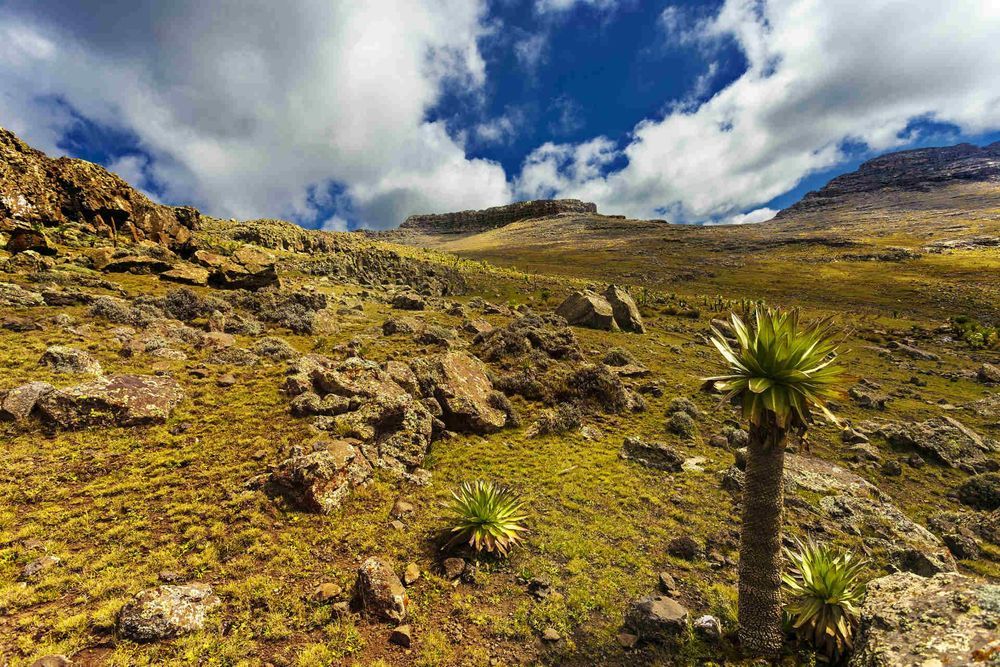 Aiming high: 6 of Africa’s most epic mountain climbs | Rough Guides