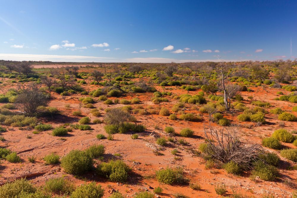 Riding the Ghan through Australia’s red centre|Rough Guides | Rough Guides