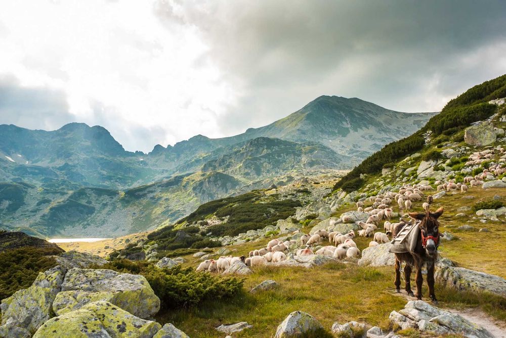 Romania in May: Weather & Travel Tips | Rough Guides