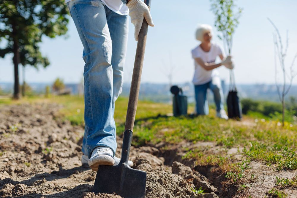 How to go green: 10 tips for sustainable holidays | Rough Guides