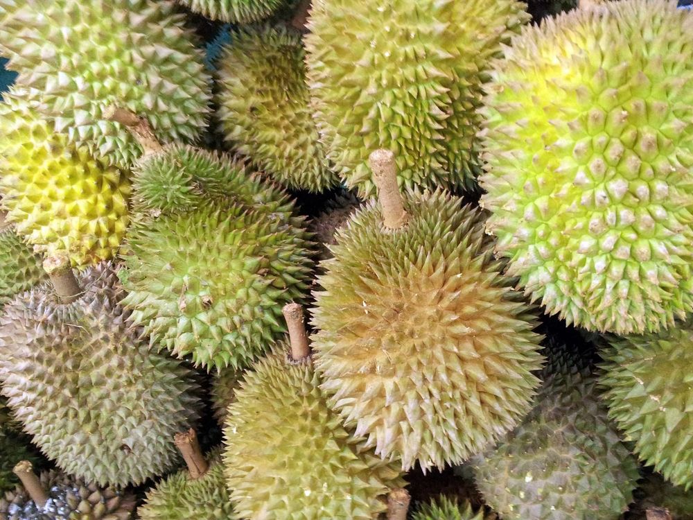 13 of the most bizarre foods from around the world | Rough Guides