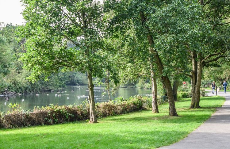 The Best Parks in Solihull, West Midlands | Rough Guides