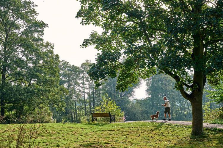 The Best Parks in Solihull, West Midlands | Rough Guides