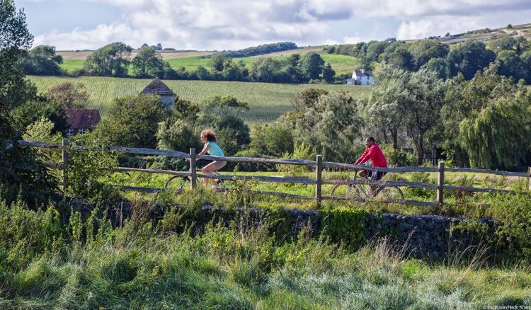 From coast to country: what to do in Brighton | Rough Guides