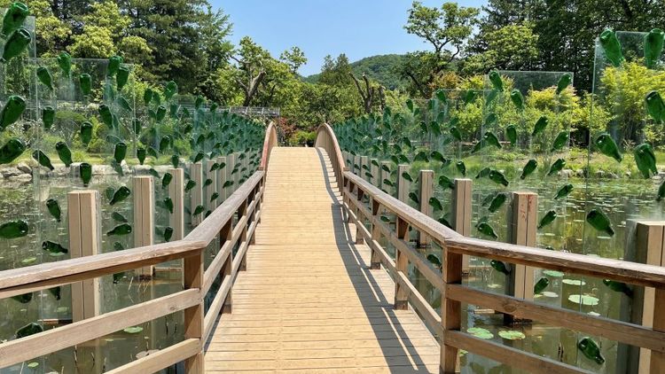 Day trip from Seoul to scenic Nami Island | Rough Guides