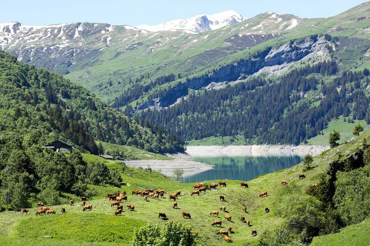 15 best campsites in France | Rough Guides