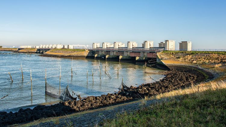 Amazing Engineering | Rough Guides