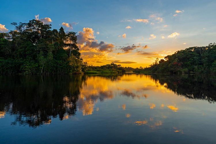 The 10 best jungle lodges in the Amazon | Rough Guides