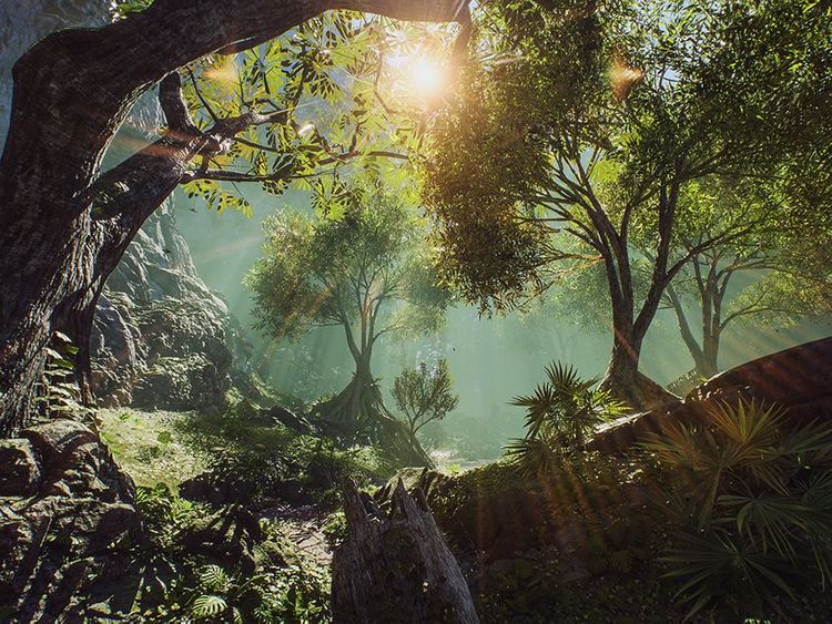 Introduction to Anthem | Rough Guides