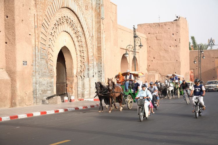 Marrakech in July: Weather & Travel Tips | Rough Guides