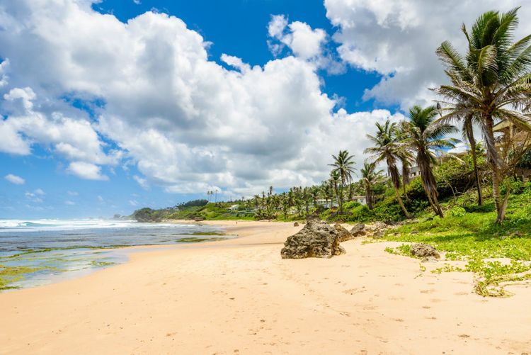 Best winter sun destinations around the world | Rough Guides