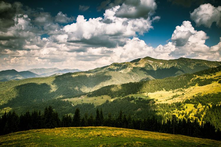 Romania in May: Weather & Travel Tips | Rough Guides