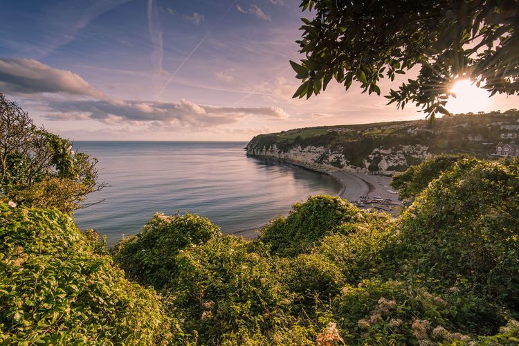 The 15 best things to do in Devon | Our top picks | Rough Guides