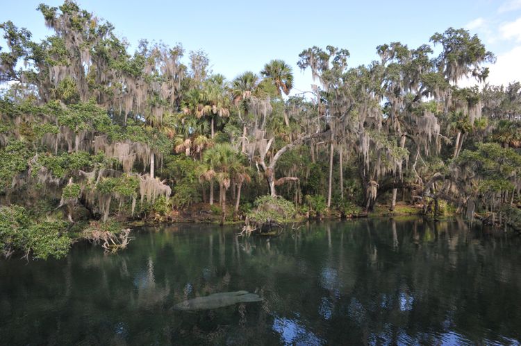 16 of the Most Beautiful State Parks in the USA | Rough Guides