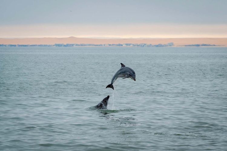 Best 16 beaches in Namibia | Our top picks | Rough Guides