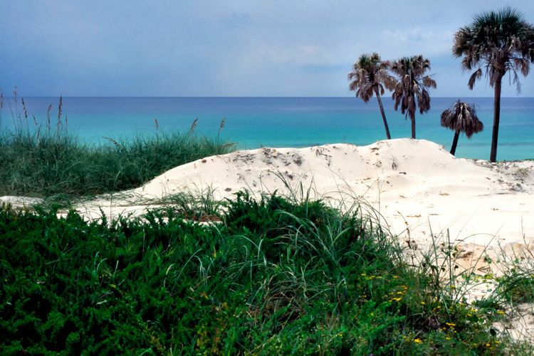 The 10 Best Beaches in Florida | Rough Guides