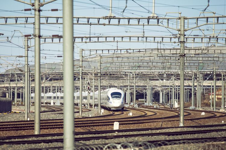 World Train Journey Planner | Great Train Journeys | Rough Guides