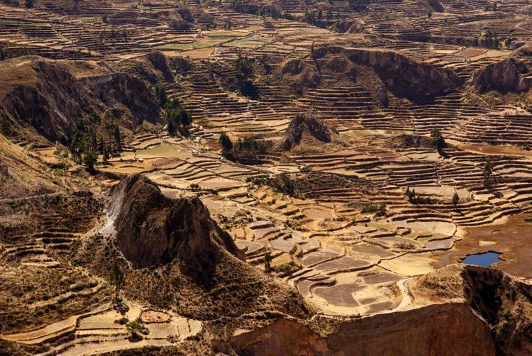 Weather in Peru in December | Rough Guides