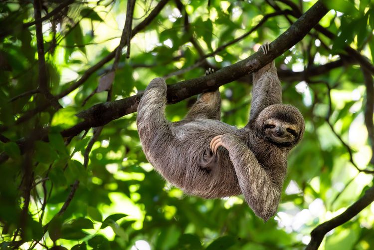 How to spend 10 days in Brazil: The Perfect Itinerary | Rough Guides