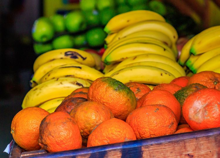 Puerto Limón | Costa Rica Travel Guide | Rough Guides