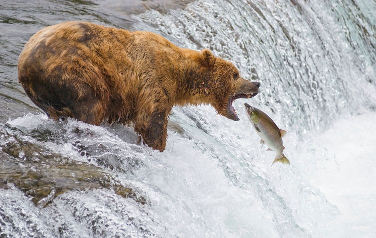 Natural Phenomena | Natural Phenomenon | Rough Guides