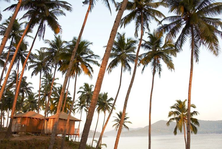 Goa In January: Weather & Travel Tips | Rough Guides