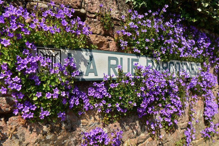 19 interesting and fun facts about Jersey in the Channel Islands ...