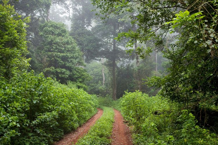 Weather in Kenya in June | Rough Guides