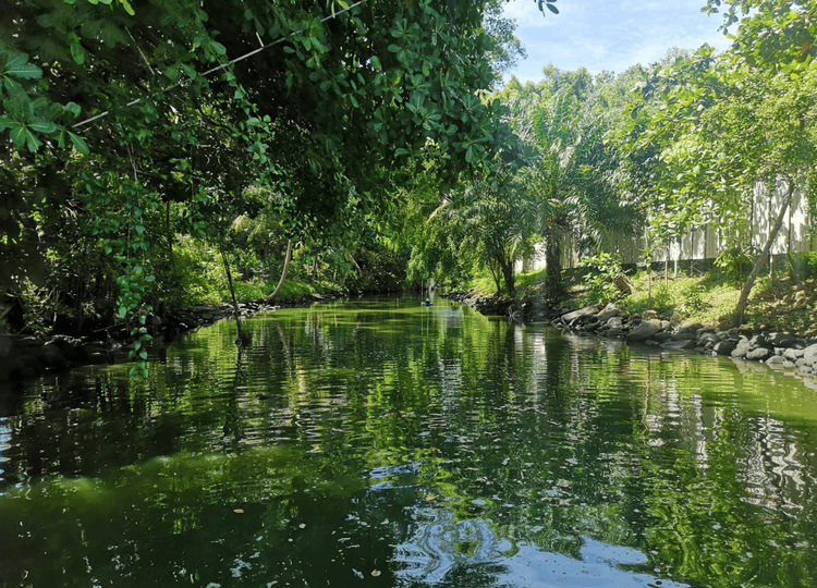 Luxury meets local at Banyan Tree Phuket | Rough Guides